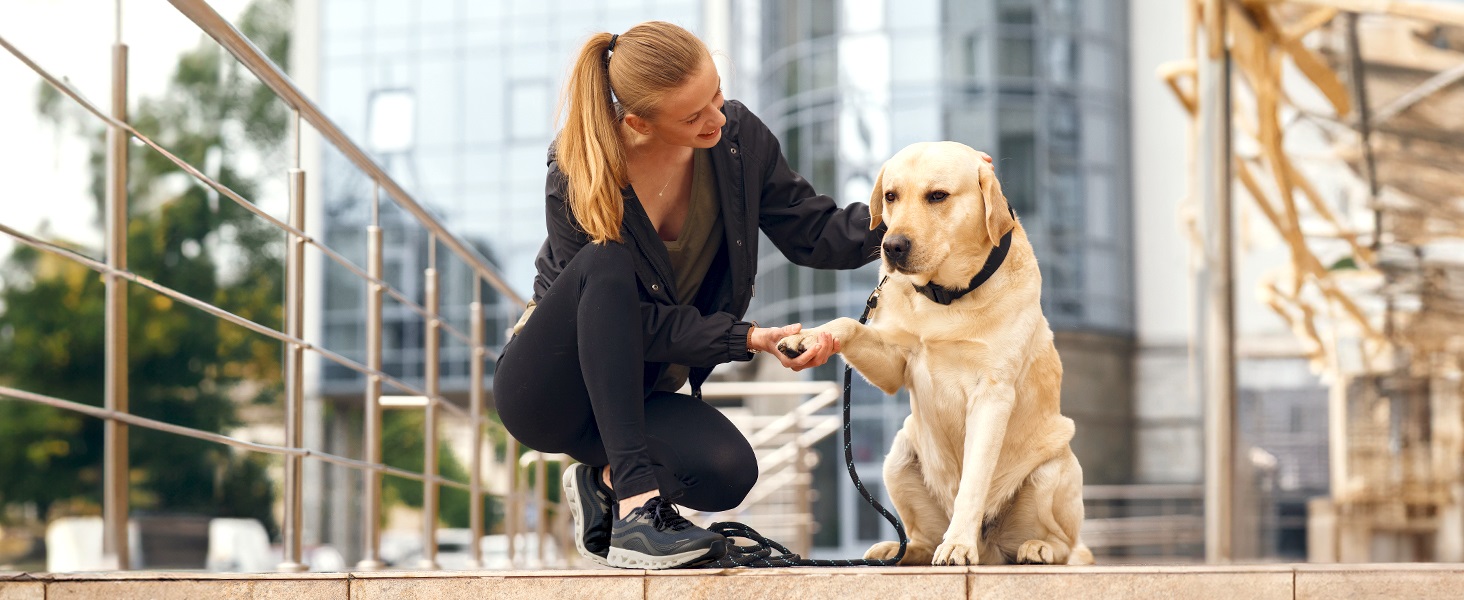 4 Best Types Of Jogging Shoes for Women you Can not Mis